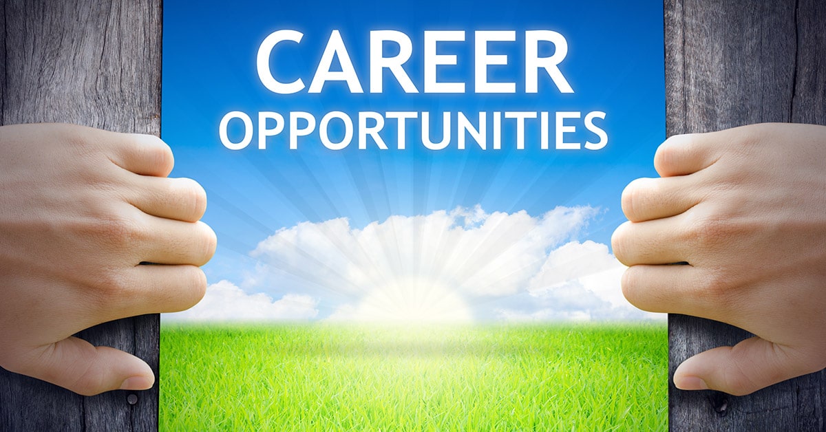 Top 15 Career Choices for Women | Career Options for Females [ 2024 ]