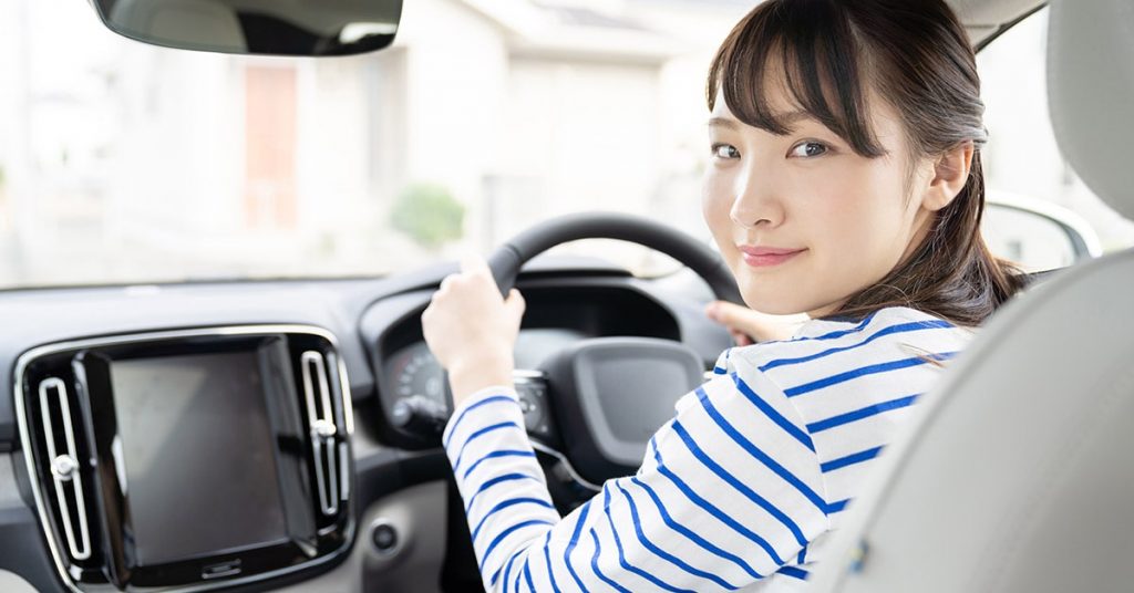 Car Driver Resume Format |Writing Tips and Examples